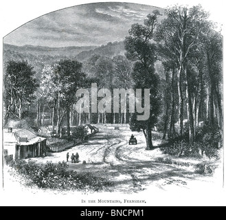 Engraving of pastoral scenes in Australia - at top, a musterer with a ...