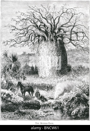 Engraving of pastoral scenes in Australia - at top, a musterer with a ...