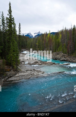 The Kicking Horse River in Yoho National Park, British Columbia, Canada ...