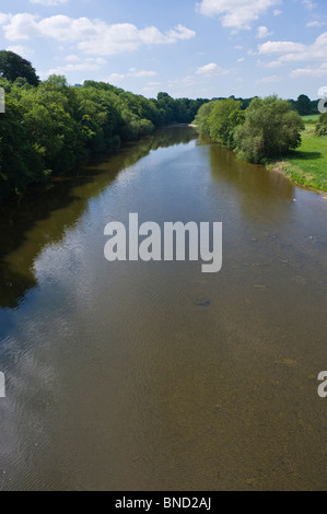 The hay upstream Stock Photo - Alamy