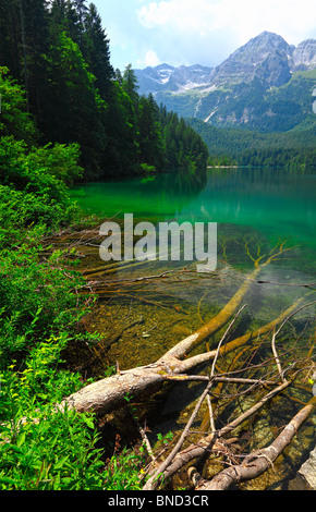 nice view of tovel lake on italian alps Stock Photo - Alamy