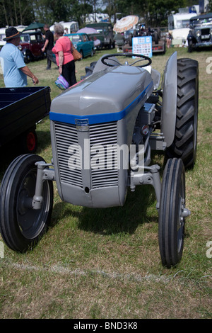 Classic Ferguson tractors on display at a steam and vintage fair. Often ...