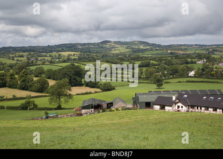 rural farming landscape near Rathfriland county down northern ireland ...
