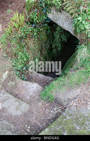 Sancreed holy well Cornwall Stock Photo - Alamy