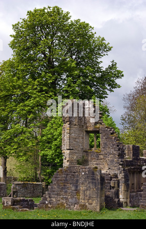 Ruins of Wycoller Hall, Lancashire Stock Photo - Alamy