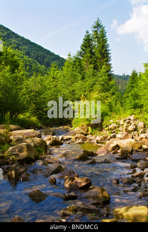 Blue water in a mountain river in Slovenia Stock Photo - Alamy