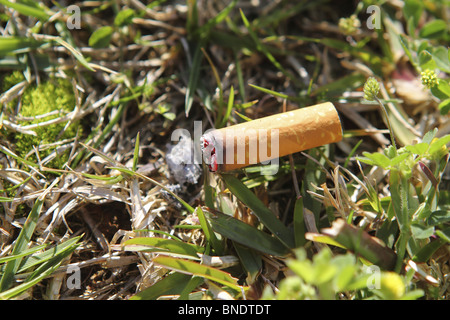 cigarette fire hazard on forest grass closeup detail Stock Photo - Alamy