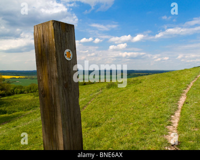 Wooden signpost on the Chiltern Way long distance footpath in ...