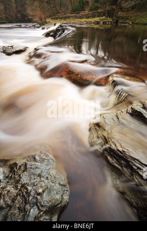 River Roe Roe Valley Country Park County Londonderry Northern Ireland ...