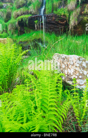 Waterfall in South Dean Beck at Bronte Bridge on Haworth Moor near ...