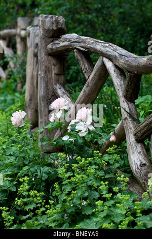fence in Shakespeare's Garden Central Park - New York City in summer ...