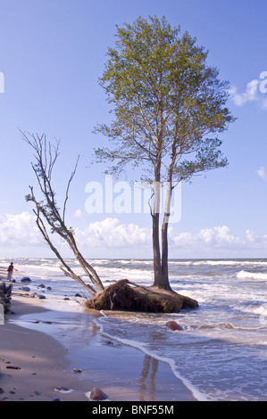 Baltic beach in Karkle Lithuania Stock Photo - Alamy