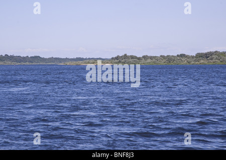 Rzeka Niemen - Niemen River Stock Photo - Alamy