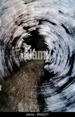 blur in south africa abstract grass like background texture Stock Photo ...