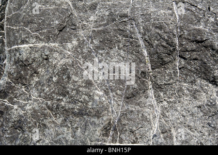 Detail of peridotite rock. peridotite is a dense, coarse-grained ...