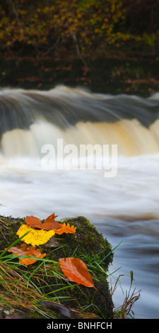 Afon Hepste Brecon Beacons Brecon Powys Wales Stock Photo - Alamy
