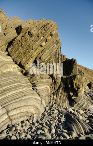rocks of Silurian age (Llandovery) forming a well-developed turbidite ...