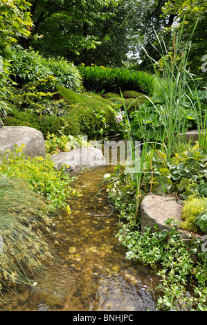 Natural brook in summer Stock Photo - Alamy