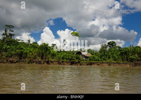 Ecuador Napo River near Coca Amazon Rainforest forest wood tropics ...