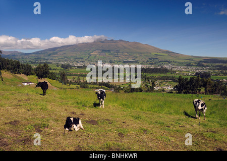 Andes mountains near Quito, Ecuador Stock Photo - Alamy