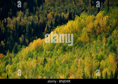 muskwa kechika northern rockies wilderness-northernmost reach of rocky ...