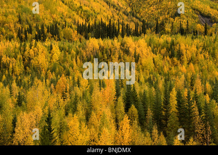 muskwa kechika northern rockies wilderness-northernmost reach of rocky ...