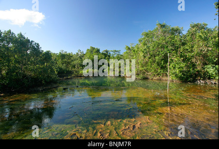 Maquinit (Makinit) Hot Springs near El Nido, Palawan, Philippines Stock ...