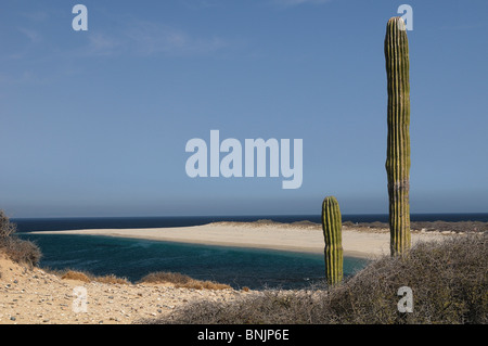Beach, El Sargento, near La Paz, Baja California, Mexico Stock Photo ...