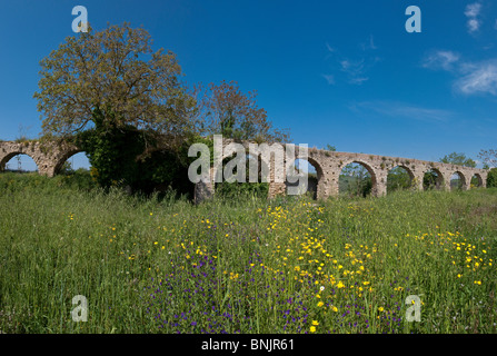 Spilinga Calabria Mediterranean Italy aqueduct Roman tree meadow Stock ...