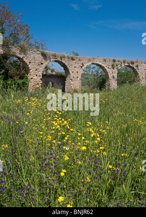 Spilinga Calabria Mediterranean Italy aqueduct Roman tree meadow Stock ...