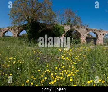 Spilinga Calabria Mediterranean Italy aqueduct Roman tree meadow Stock ...