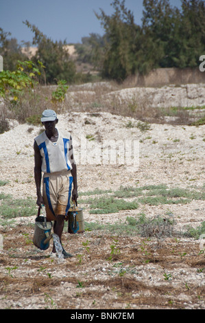 Africa, Senegal, Dakar. Subsistence farming on the banks of The Pink ...