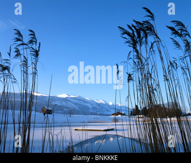 Switzerland winter scenery Toggenburg lake sea reed mountains canton St ...
