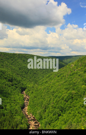 Pendleton Falls in Blackwater Falls State Park, West Virginia Stock ...