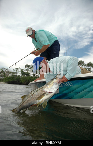 Giant snook caught on a DOA Terror-Eyz soft plastic lure in the Indian ...