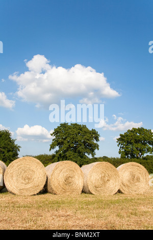 Hay bails with farm and trees in the back ground Stock Photo - Alamy