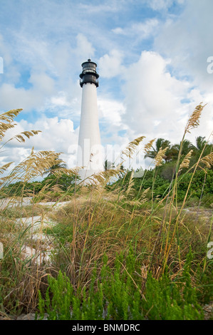 The Cape Florida Lighthouse, located in Bill Baggs Cape Florida State ...