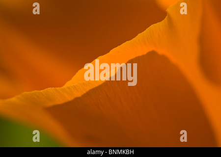 Rural California Spring scenes Stock Photo - Alamy