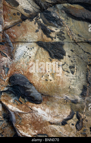 Glacial scaring & striation patterns on rocks, Alaska Stock Photo - Alamy