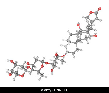 Digoxin. Molecular model of the heart drug digoxin (C41.H64.O14), a ...