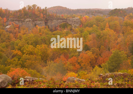 Natural Arch Daniel Boone National Forest Whitley City Kentucky USA ...