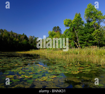 Lakes Ash River Area Voyageur National Park Minnesota USA America ...