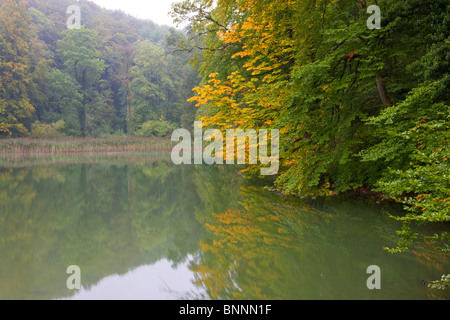 Arlesheim power source esoteric Basel area Baselland hermitage Ermitage ...