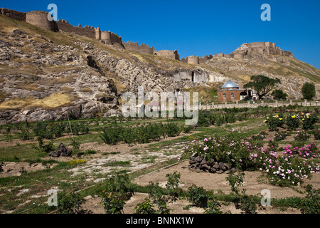 Van Castle, in Van, Turkey Stock Photo - Alamy