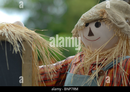 the strawman scarecrow smile smiling happy face wizard of oz vertical ...