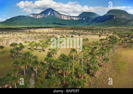 Venezuela South America Tepui Table Mountain Forest Landscape Canaima ...