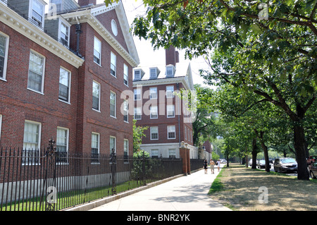 Red brick dorm buildings at Harvard Yard, the old heart of Harvard ...