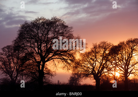 Winter sunset over Suffolk countryside Stock Photo - Alamy