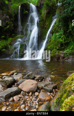 Posforth Gill, Valley Of Desolation Stock Photo - Alamy