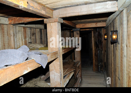 Trench dugout bunk beds in The Passendale Museum near Ypres Ieper Stock ...